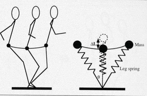 Movement Screens | Superior Physical Therapy