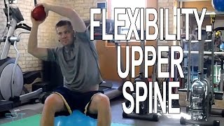 Seated Physioball Thoracic Overhead Matrix-Bilateral | Superior ...